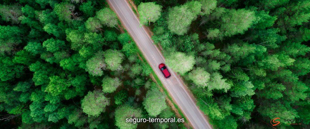 Elegir un seguro temporal de coche ¿meses, días o años?