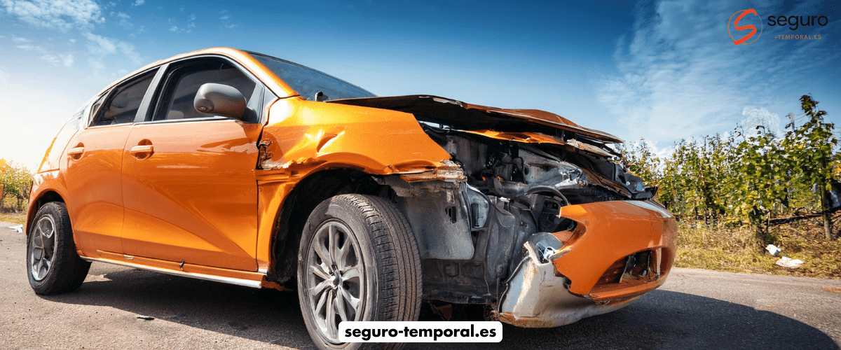 ¿Qué pasa si no estoy en la póliza de seguro temporal? - Seguro Días ...